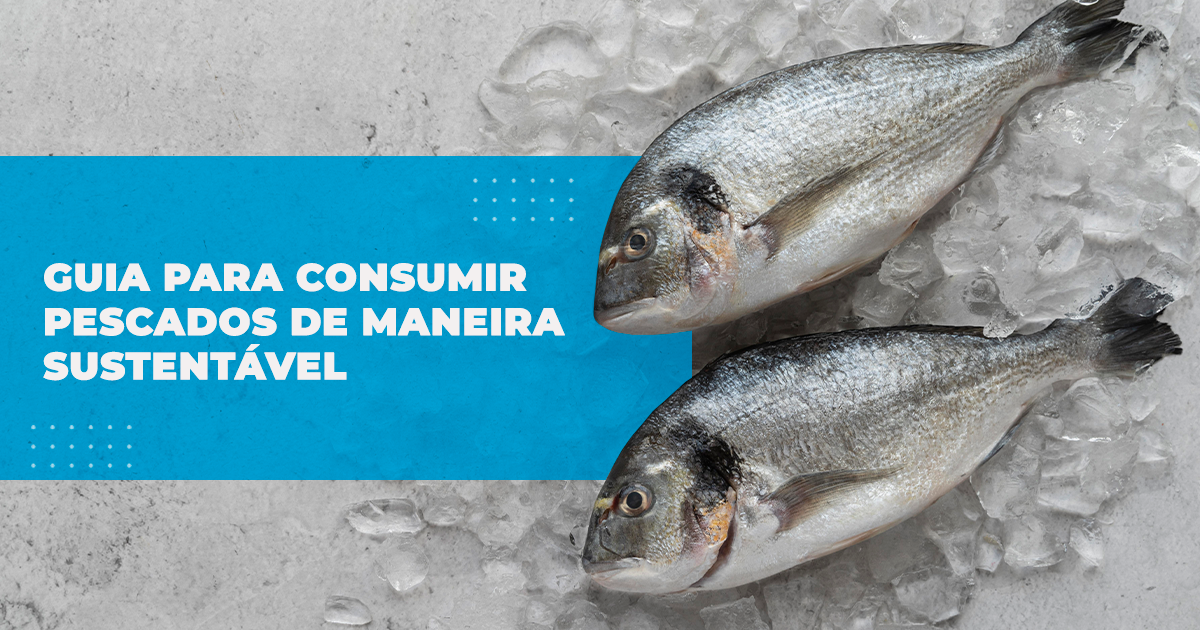 Um guia para consumir pescados de maneira sustentável - AMA