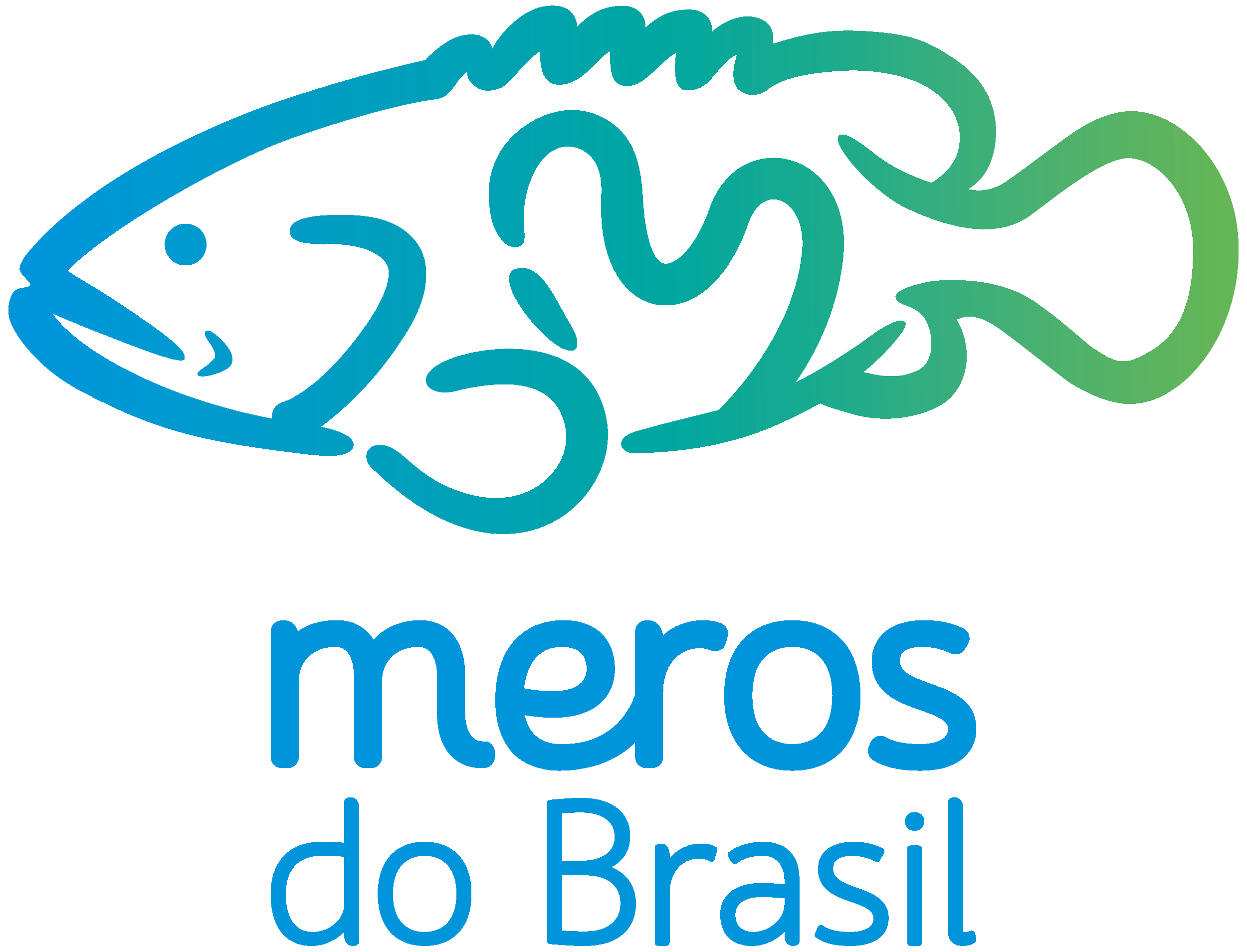 Projeto Meros do Brasil atua há 20 anos na preservação da vida marinha ...